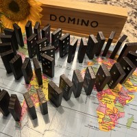 Domino Tracks – Preparing kids for educational travel experiences